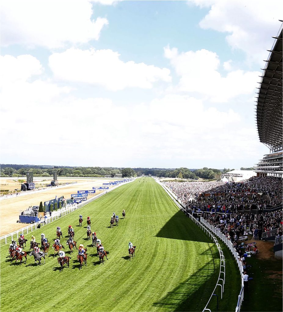 Race Information - British Champions Day